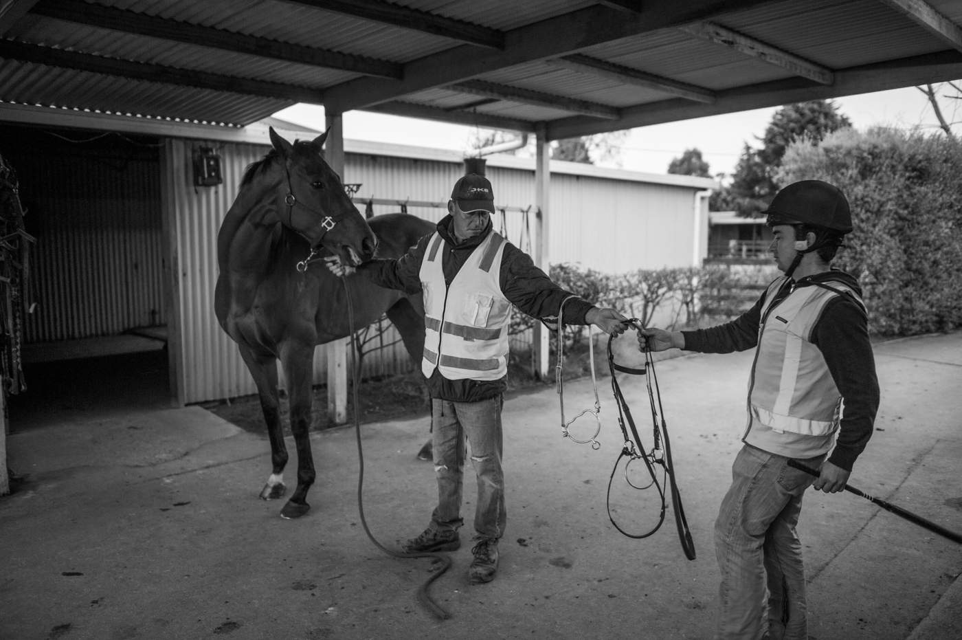 Early morning trackwork